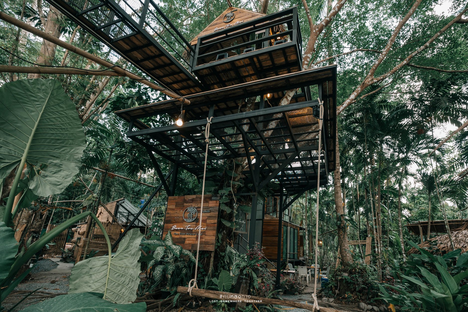 the Tree House House Cafe คาเฟ่บ้านต้นไม้...เอนกายพักใจในคาเฟ่กลางป่า - ค น ห ล ง ท า ง