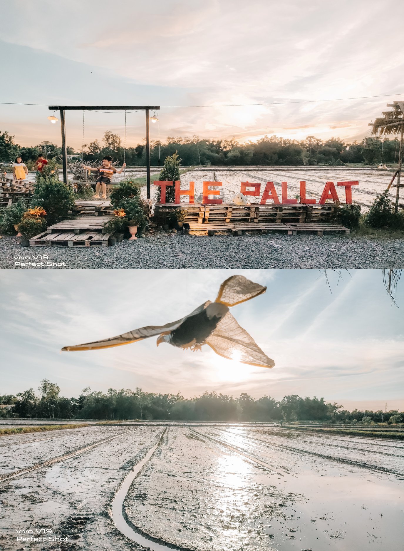 The Pallat : จุดเช็คอินสระบุรี แห่ง ใหม่ กินเที่ยว Cafe & ตลาด สไตล์ ...
