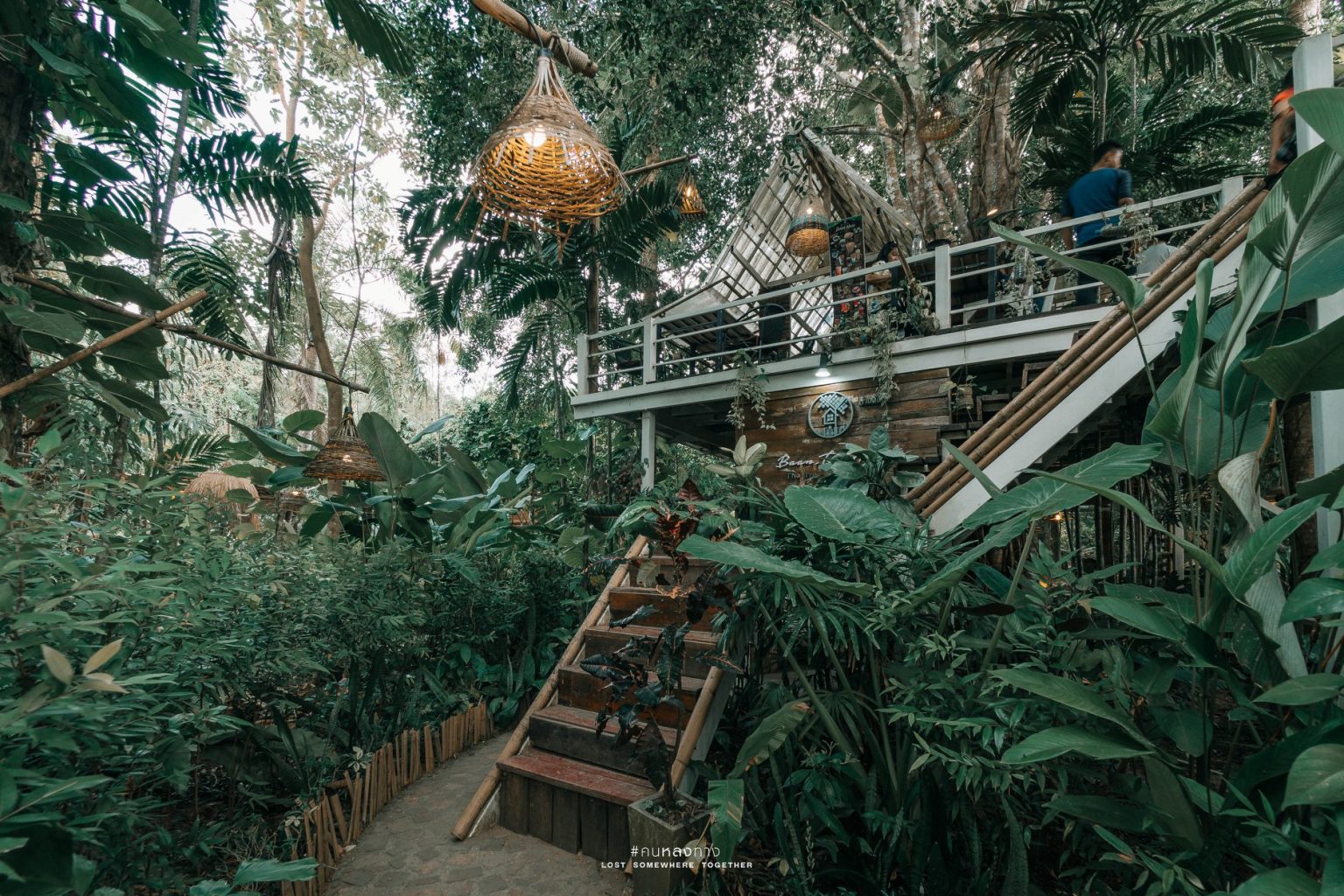 the Tree House House Cafe คาเฟ่บ้านต้นไม้...เอนกายพักใจในคาเฟ่กลางป่า ...