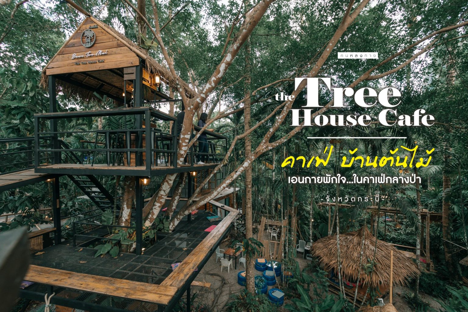 the Tree House House Cafe คาเฟ่บ้านต้นไม้...เอนกายพักใจในคาเฟ่กลางป่า ...